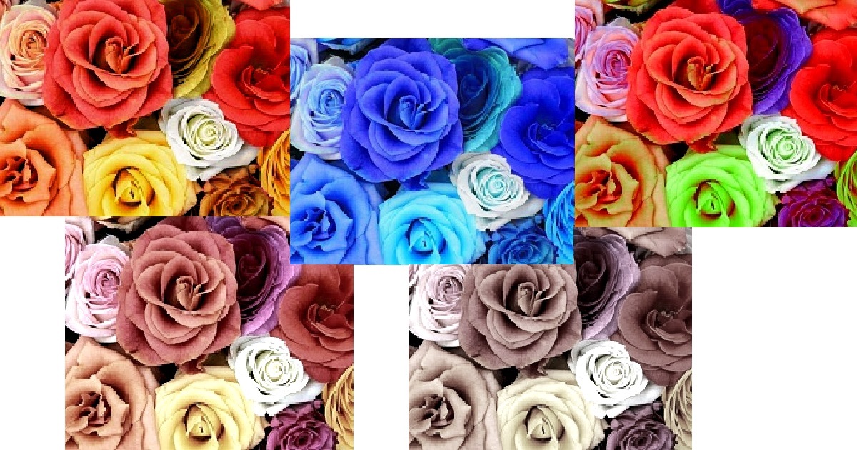 Color Editor: change colors, in 1 click, without compromise